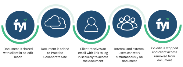 Overview - Co-Edit with Client – FYI